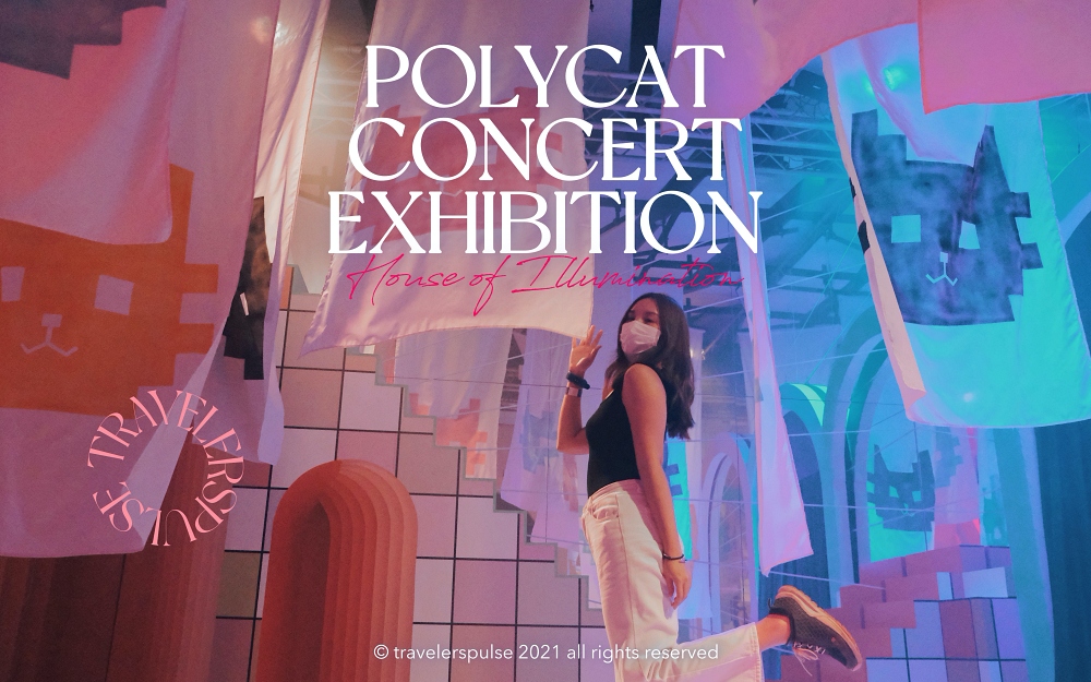 POLYCAT CONCERT EXHIBITION | TRAVELERSPULSE